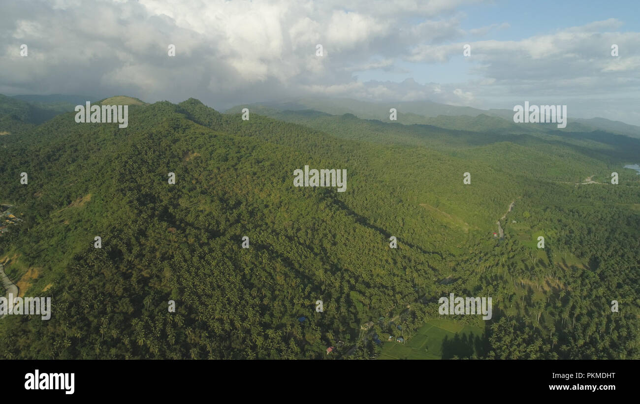 Aerial view of mountains covered rain forest, trees with clouds and sky ...