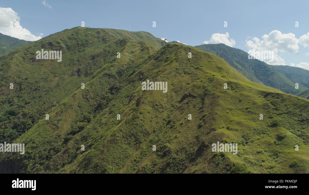 Aerial view of mountains covered forest, trees against the sky and ...