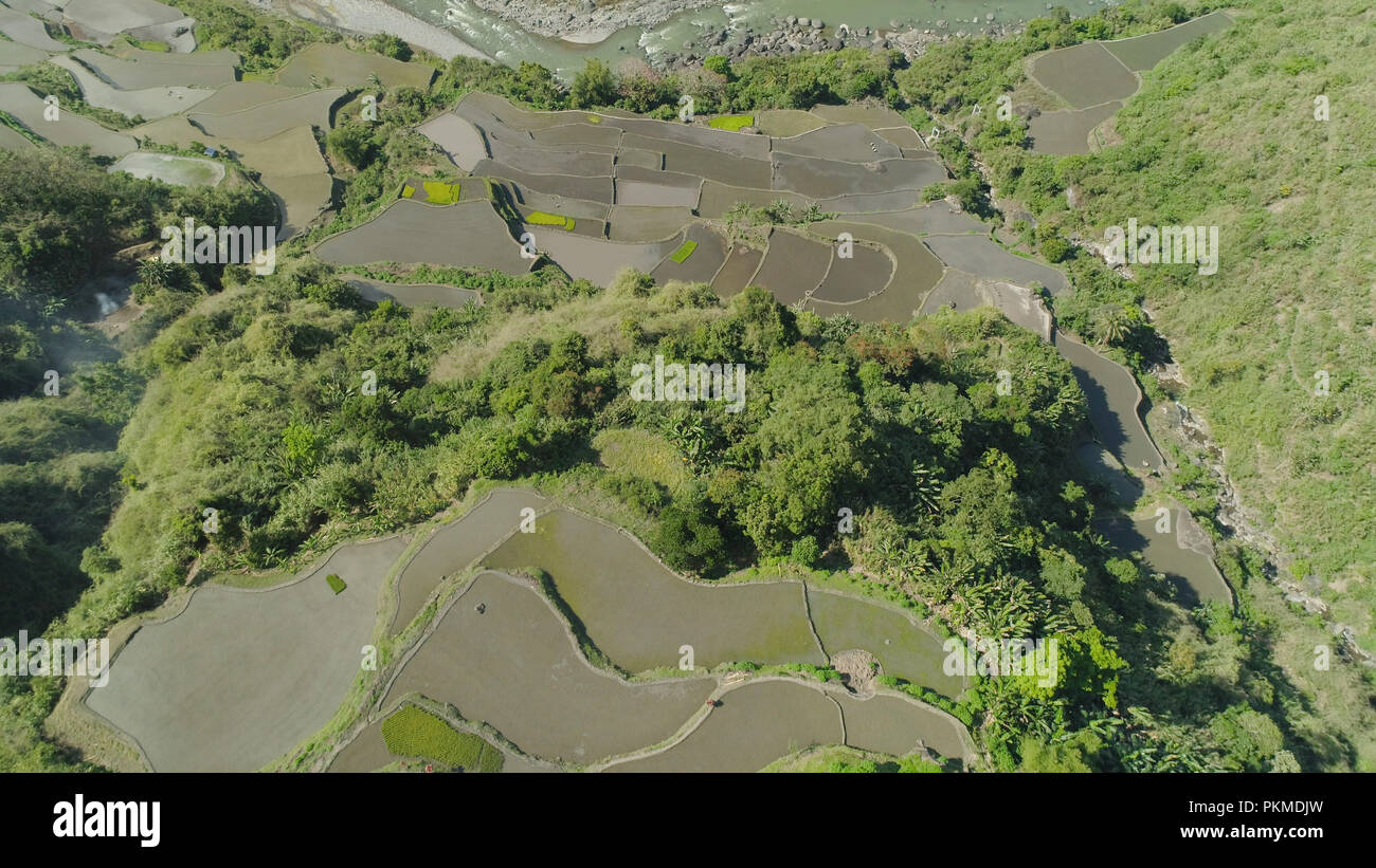 Aerial view of mountain valley in the cordillera, river, rice terraces ...