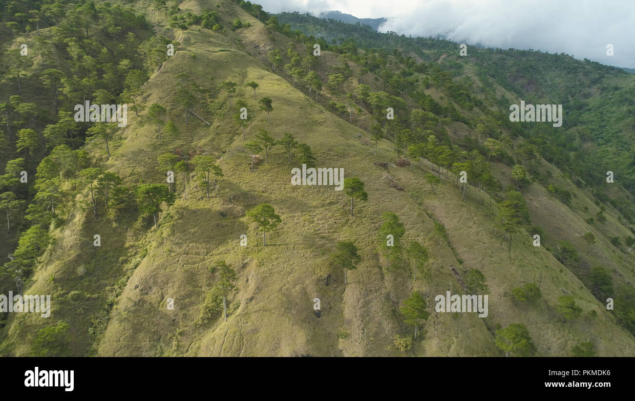 Aerial view of mountains covered forest, trees against the sky and ...
