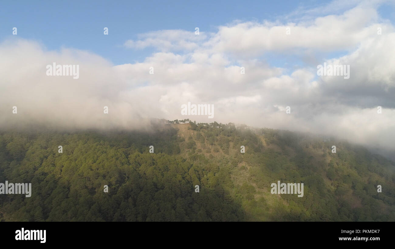 Aerial view of mountains covered forest, trees against the sky and ...