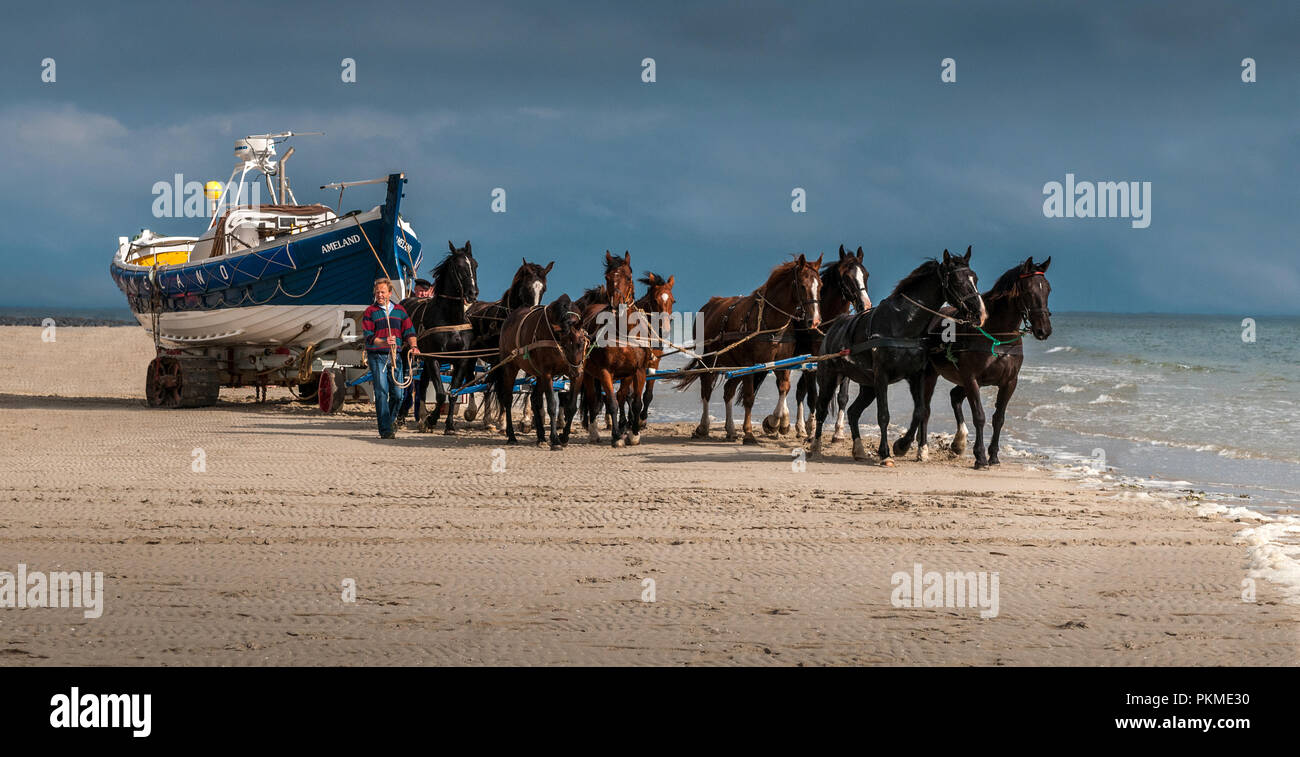 The Ameland horse drawn lifeboat on the beach. Paarden Redding boot op ...