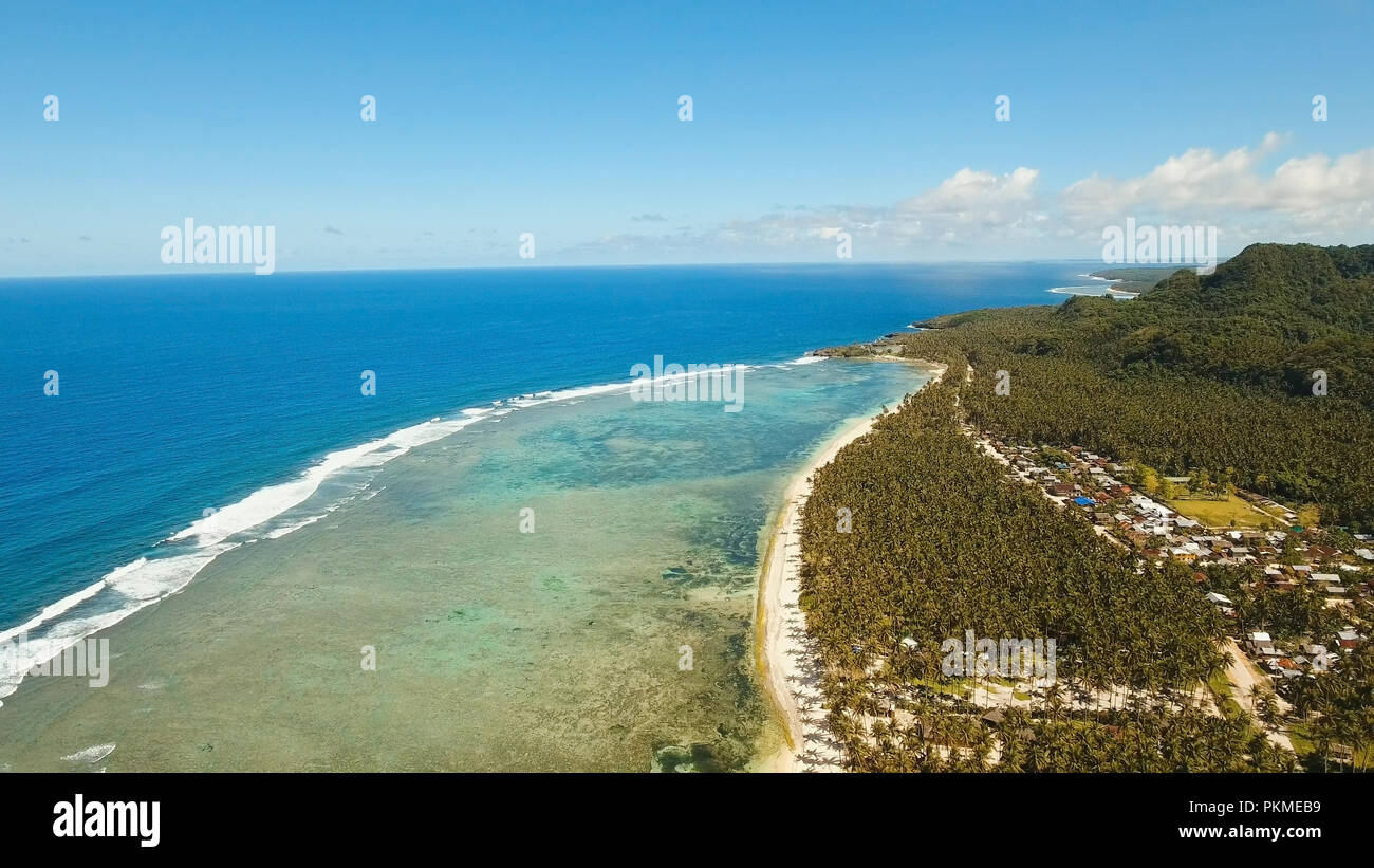 Aerial view of tropical beach on the island Siargao, Philippines ...
