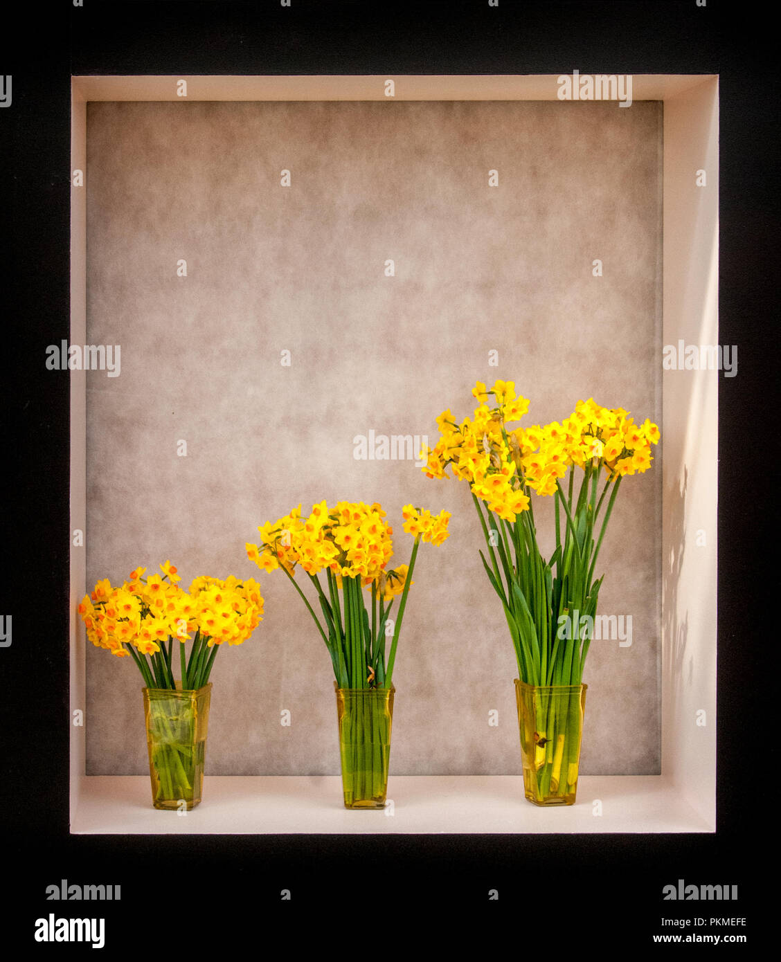 Yellow post box daffodils hi-res stock photography and images - Alamy