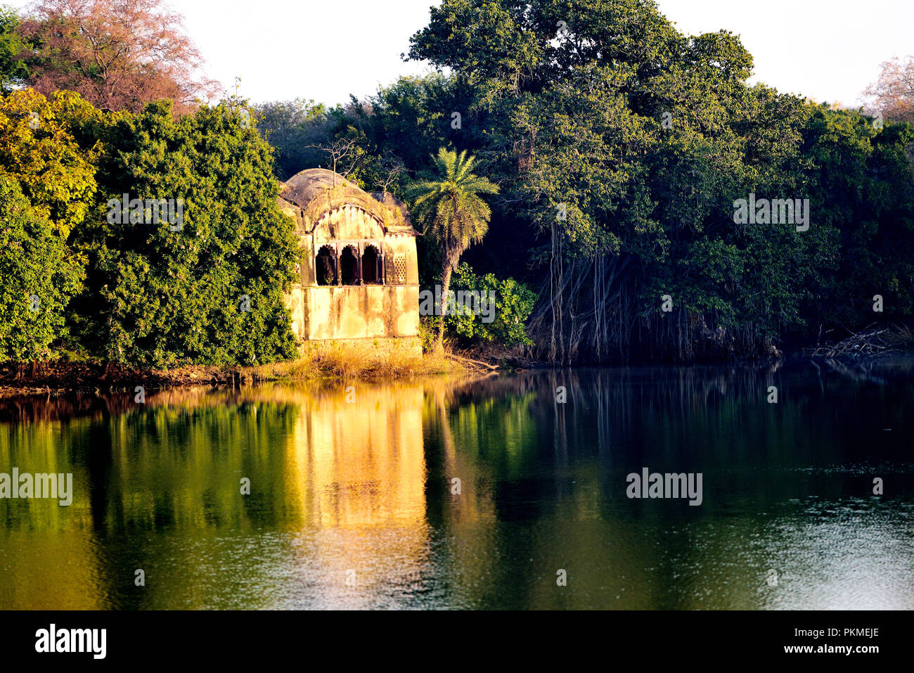 Ranthambore hi-res stock photography and images - Alamy