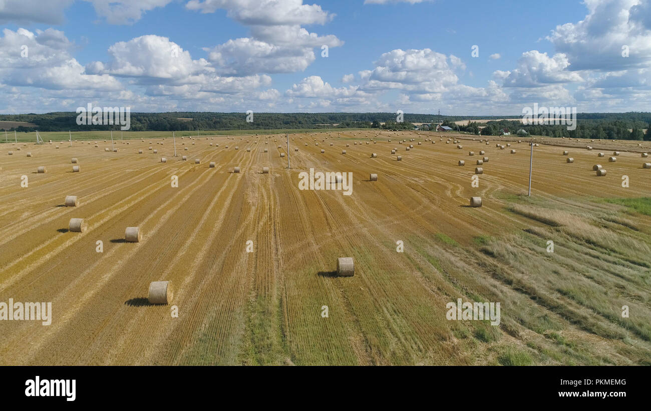 Harvest Bales Summer Countryside High Resolution Stock Photography and ...