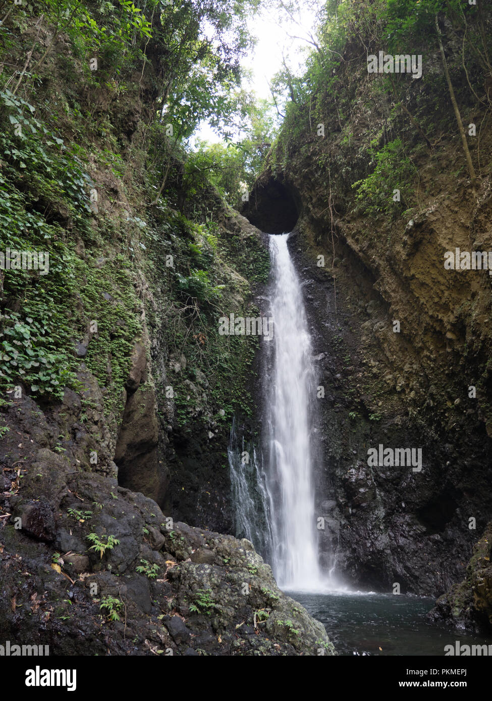 Waterfall in green rainforest. waterfall in the mountain jungle. Bali ...