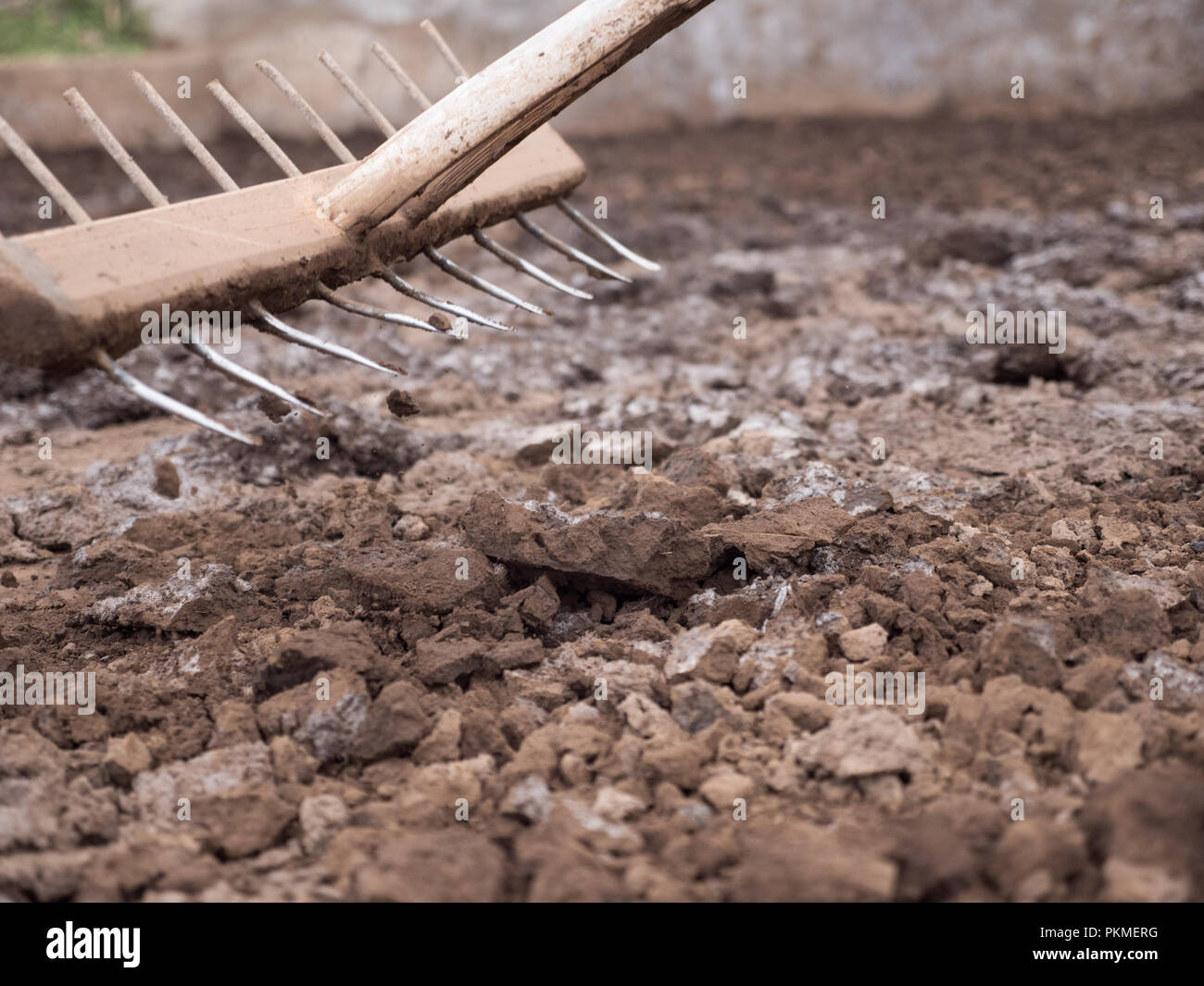 Working on the production of natural sea salt. Production of sea salt ...