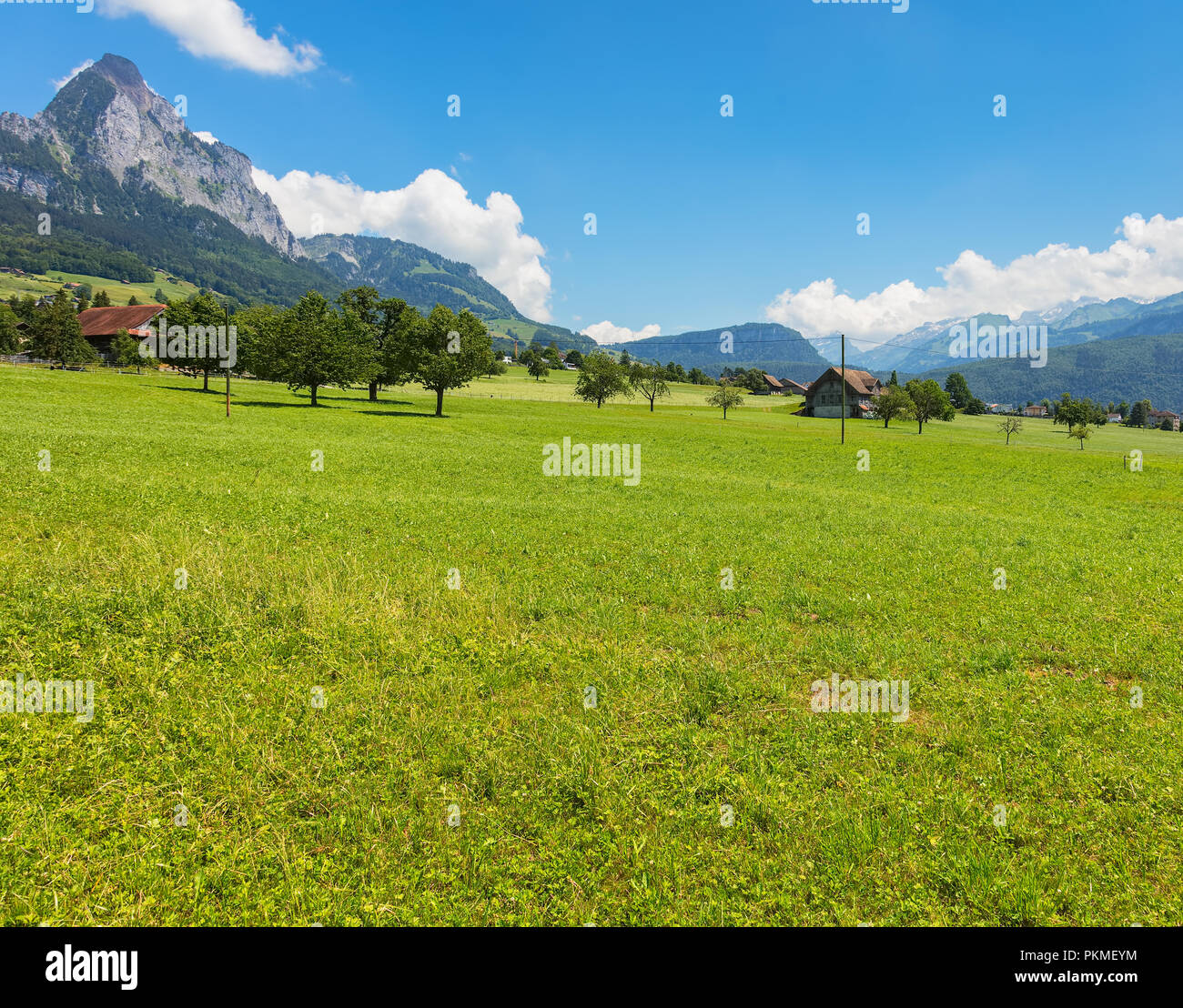 A summertime view from the village of Seewen in the Swiss canton of ...