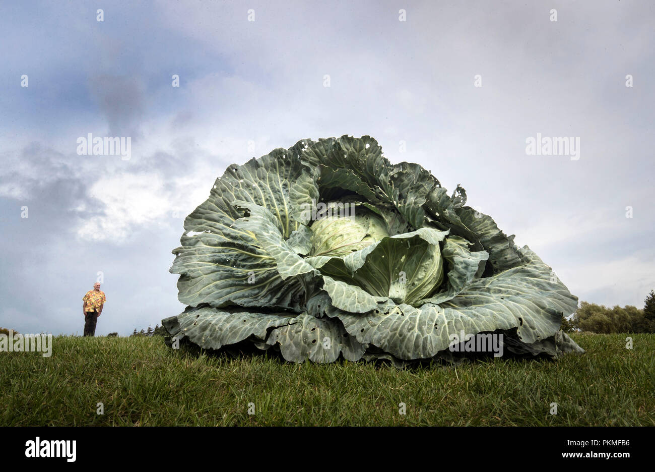 Forced perspective photograph showing Ian Neale with his winning ...