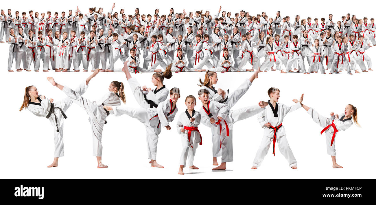 The collage about group of kids training karate martial arts and posing ...