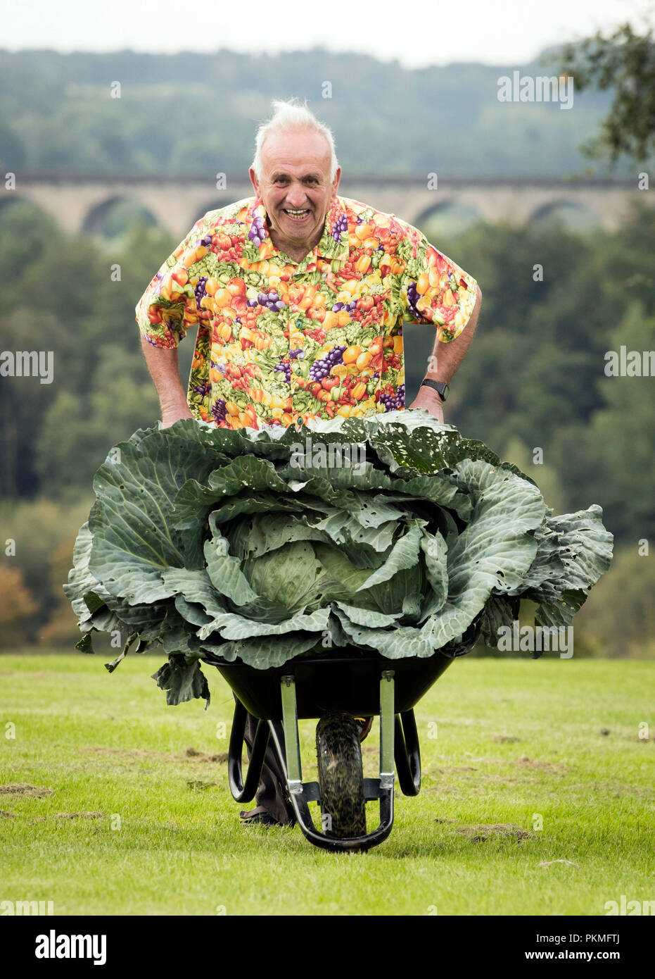 Ian Neale with his winning heaviest in class giant cabbage weighing 30 ...