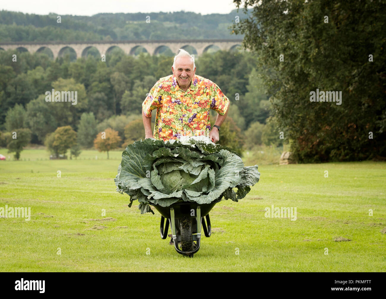 Ian Neale with his winning heaviest in class giant cabbage weighing 30 ...