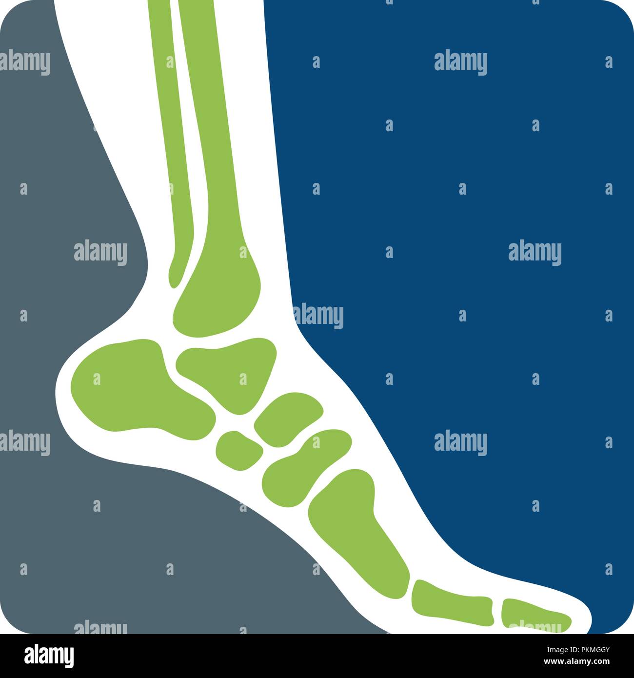 Podiatrist illustration hi-res stock photography and images - Alamy
