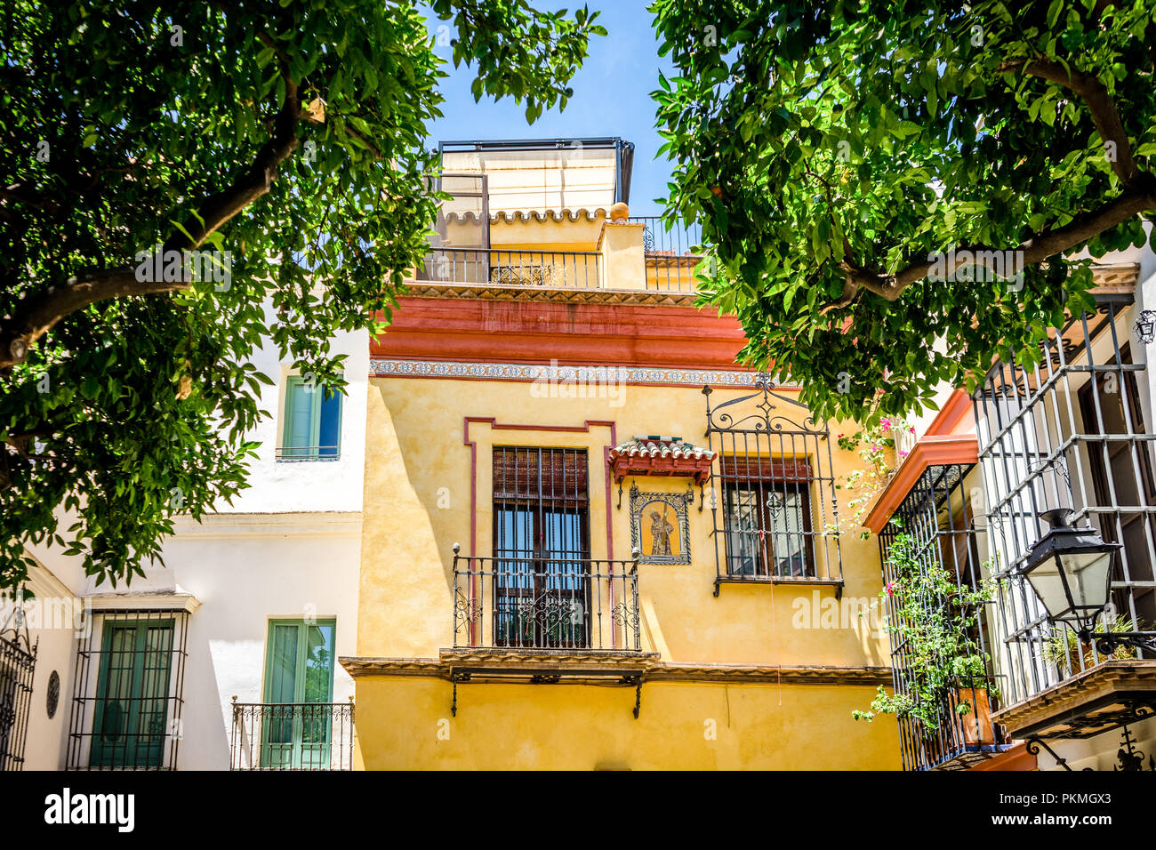 Spain, Seville, Europe, LOW ANGLE VIEW OF TREE BY BUILDING AGAINST SKY ...
