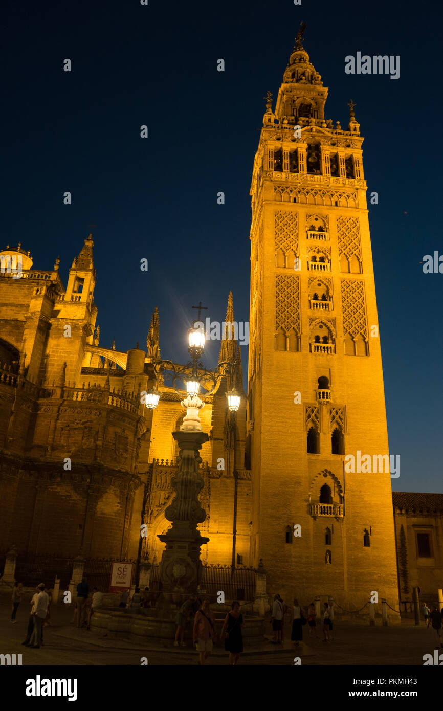 The Giralda bell tower lit up at night in Seville, Spain, Europe Stock ...
