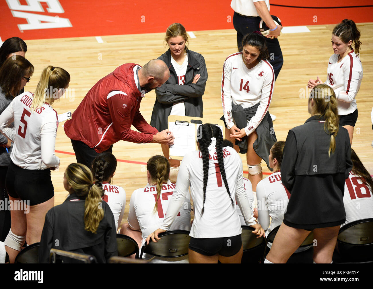 September 14, 2018 Washington State Cougars head coach Jen Greeny goes ...