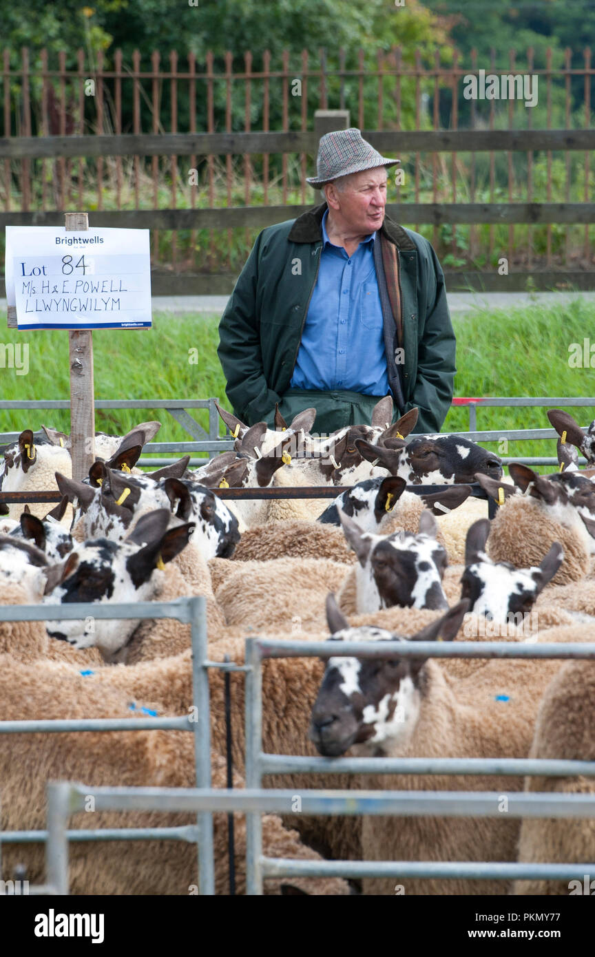 Llanelwedd, Powys, UK. 14th September 2018. The 38th Annual Special ...