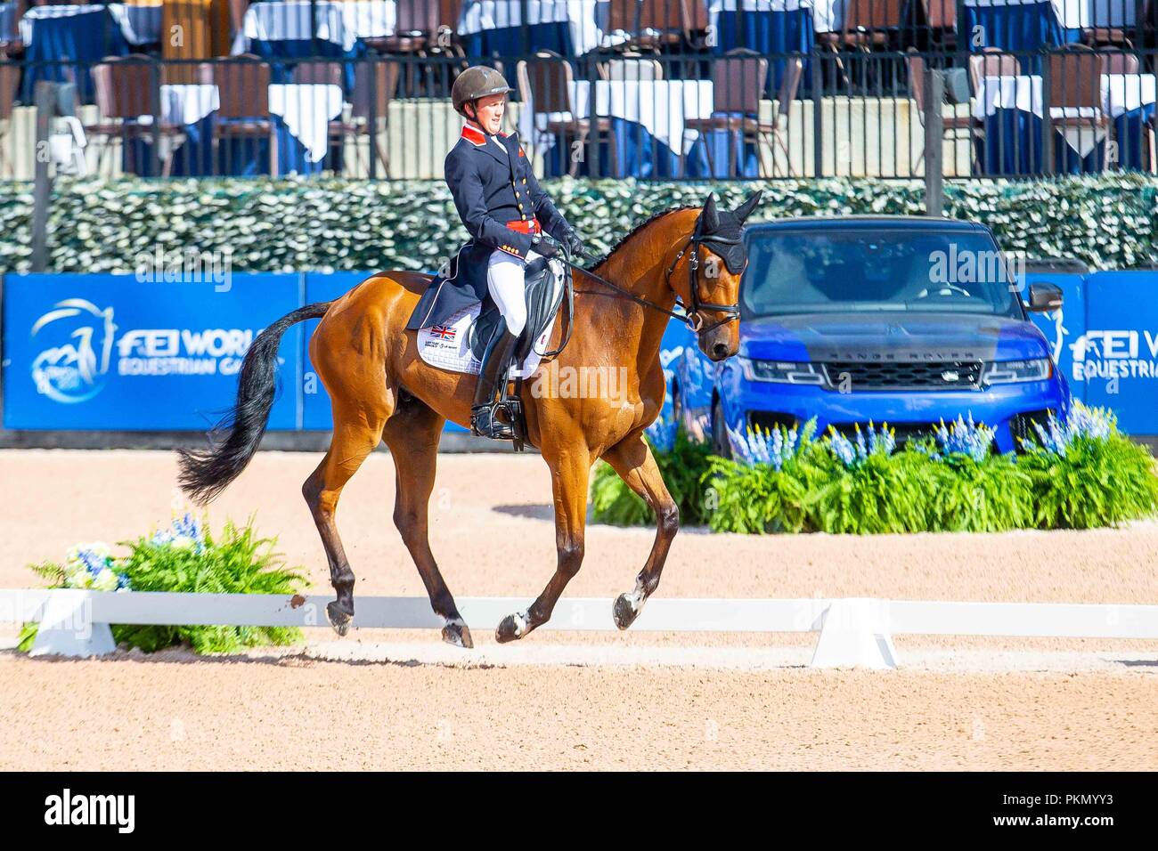 Tom tryon hi-res stock photography and images - Alamy