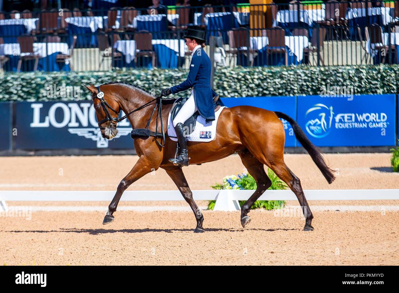 2018 emma mcnab riding hi-res stock photography and images - Alamy