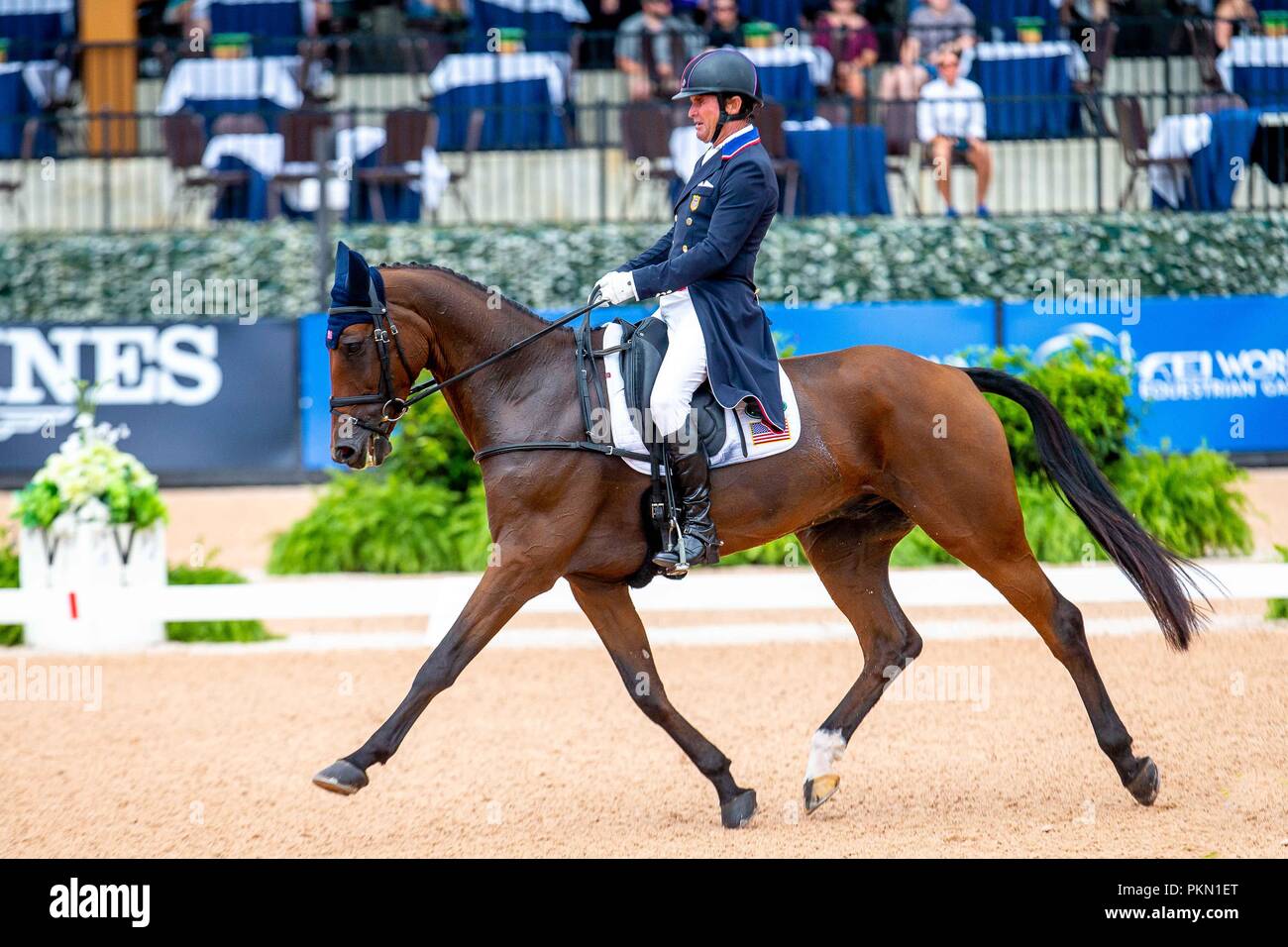 Phillip dutton z hi-res stock photography and images - Alamy