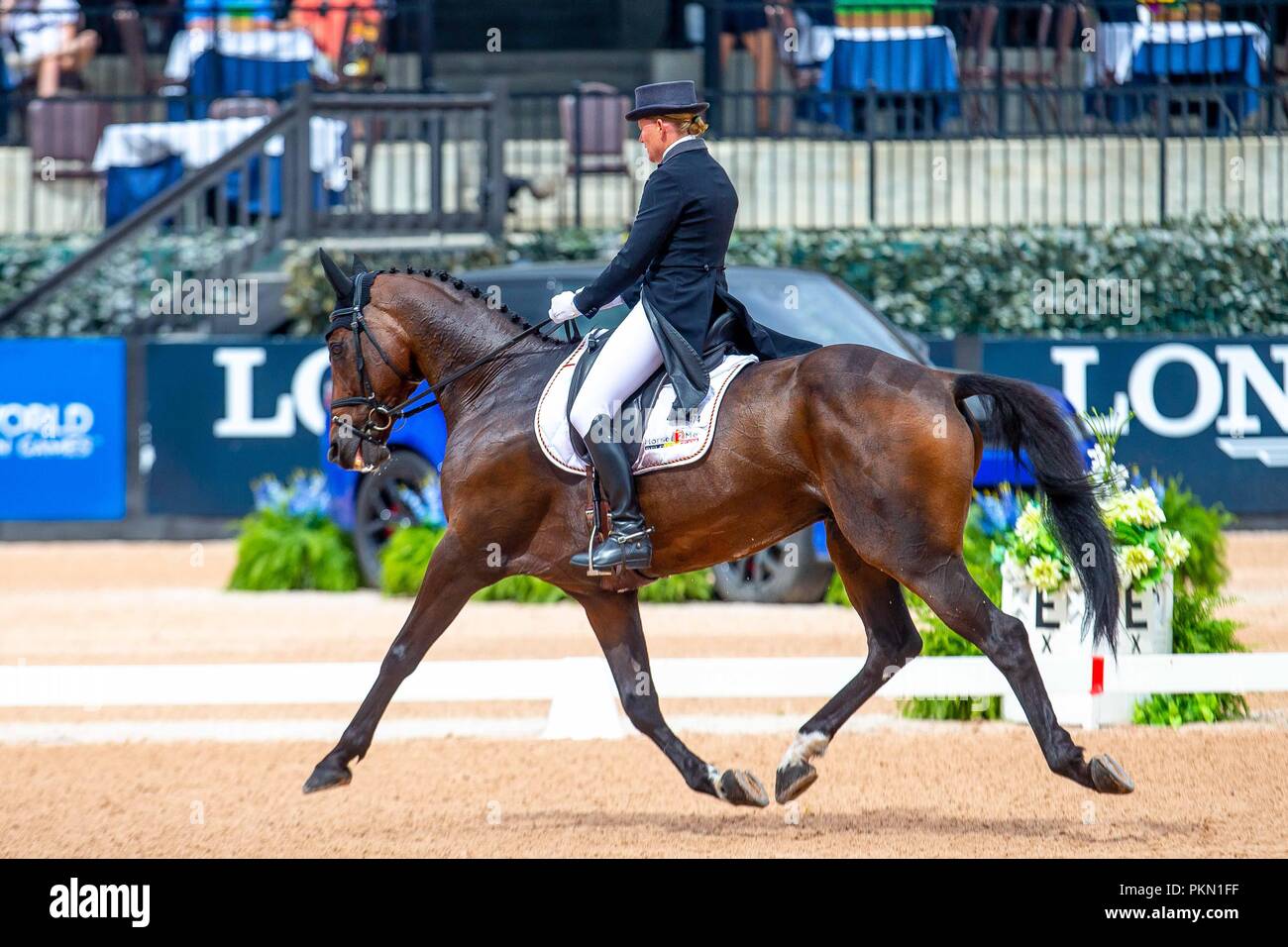 Karin donckers hi-res stock photography and images - Alamy