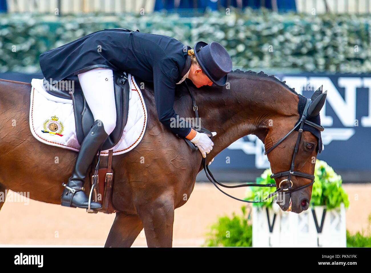 Usa 14th september 2018 karin donckers riding fletcha hi-res stock ...