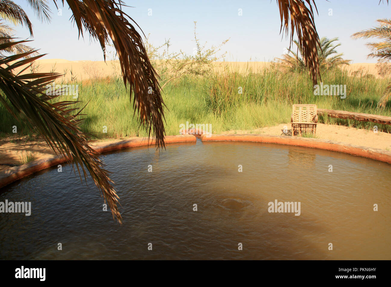 So-called "Hot Spring" in the Sahara desert near Siwa Oasis, Egypt ...