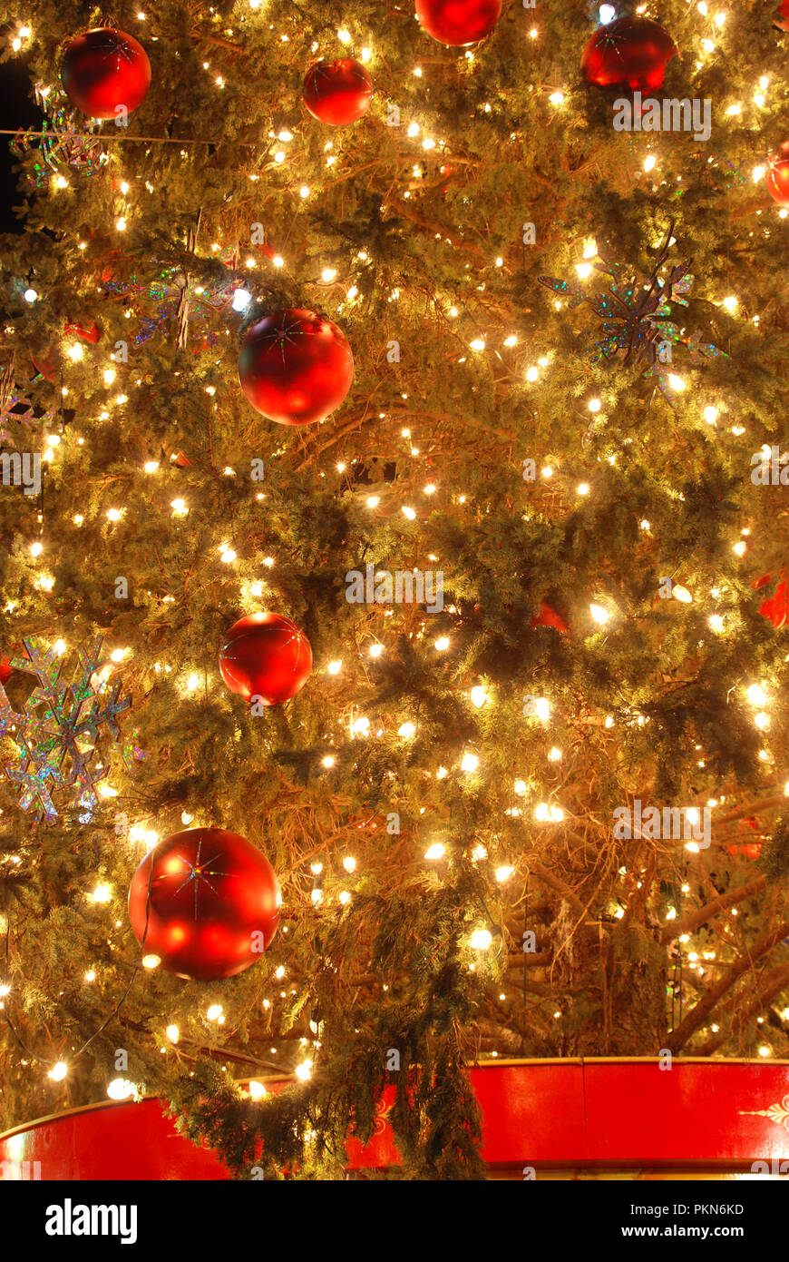 Large outdoor Christmas tree at night time Stock Photo - Alamy