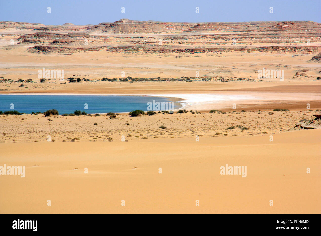 Deadly Salt Lake near the Libyan Border, Siwa Oasis, Egypt Stock Photo ...