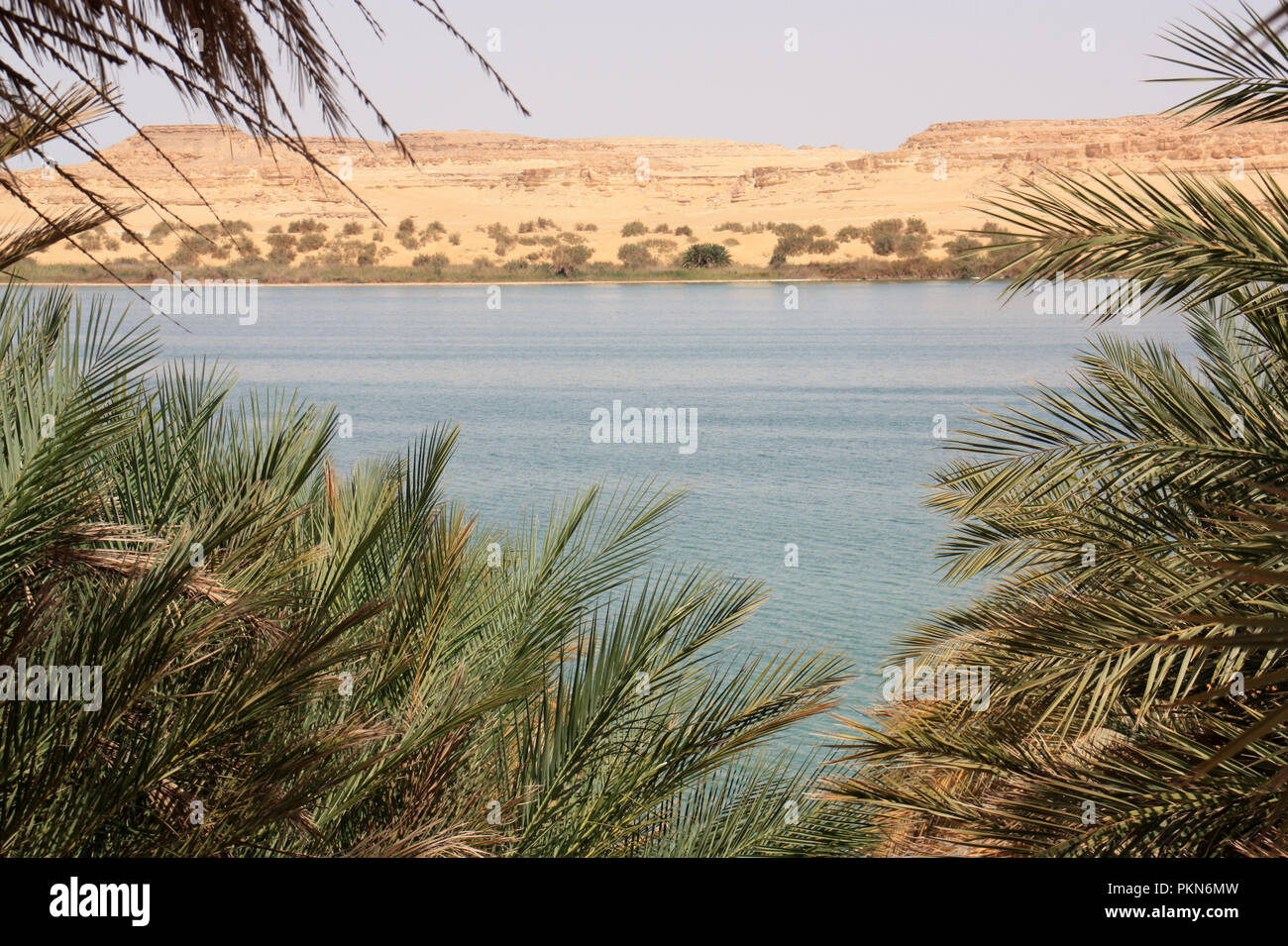 Deadly Salt Lake near the Libyan Border, Siwa Oasis, Egypt Stock Photo ...