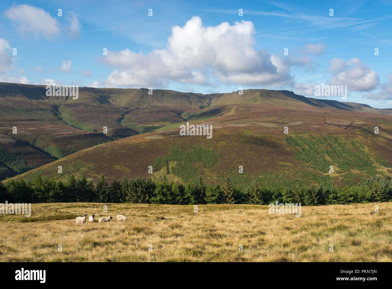 Moorland landscape beside the Snake Pass between Glossop and Bamford ...