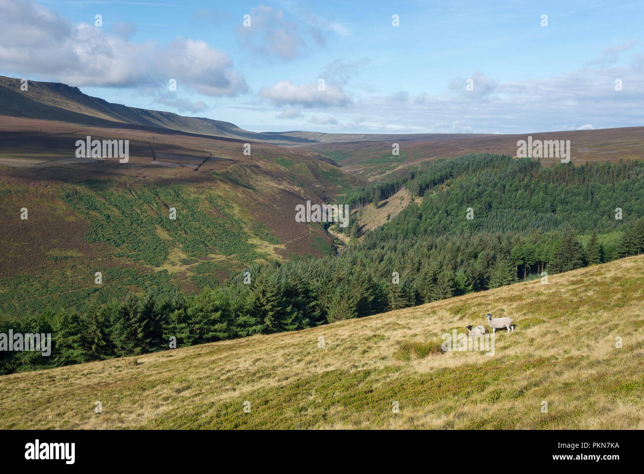 Moorland landscape beside the Snake Pass between Glossop and Bamford ...