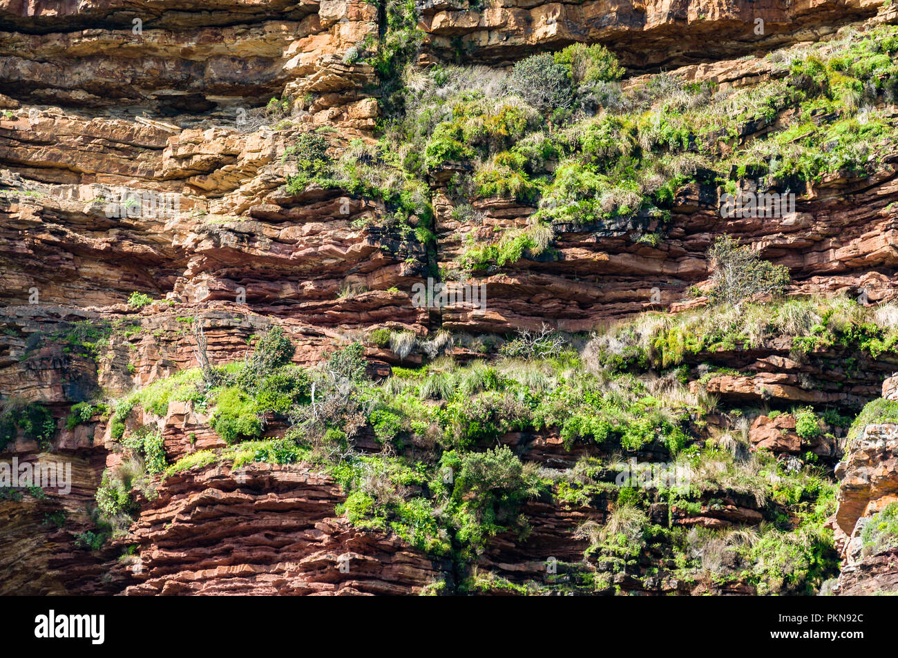 Craggy vertical rocks with strata and bushes, Chapman's Peak Drive ...