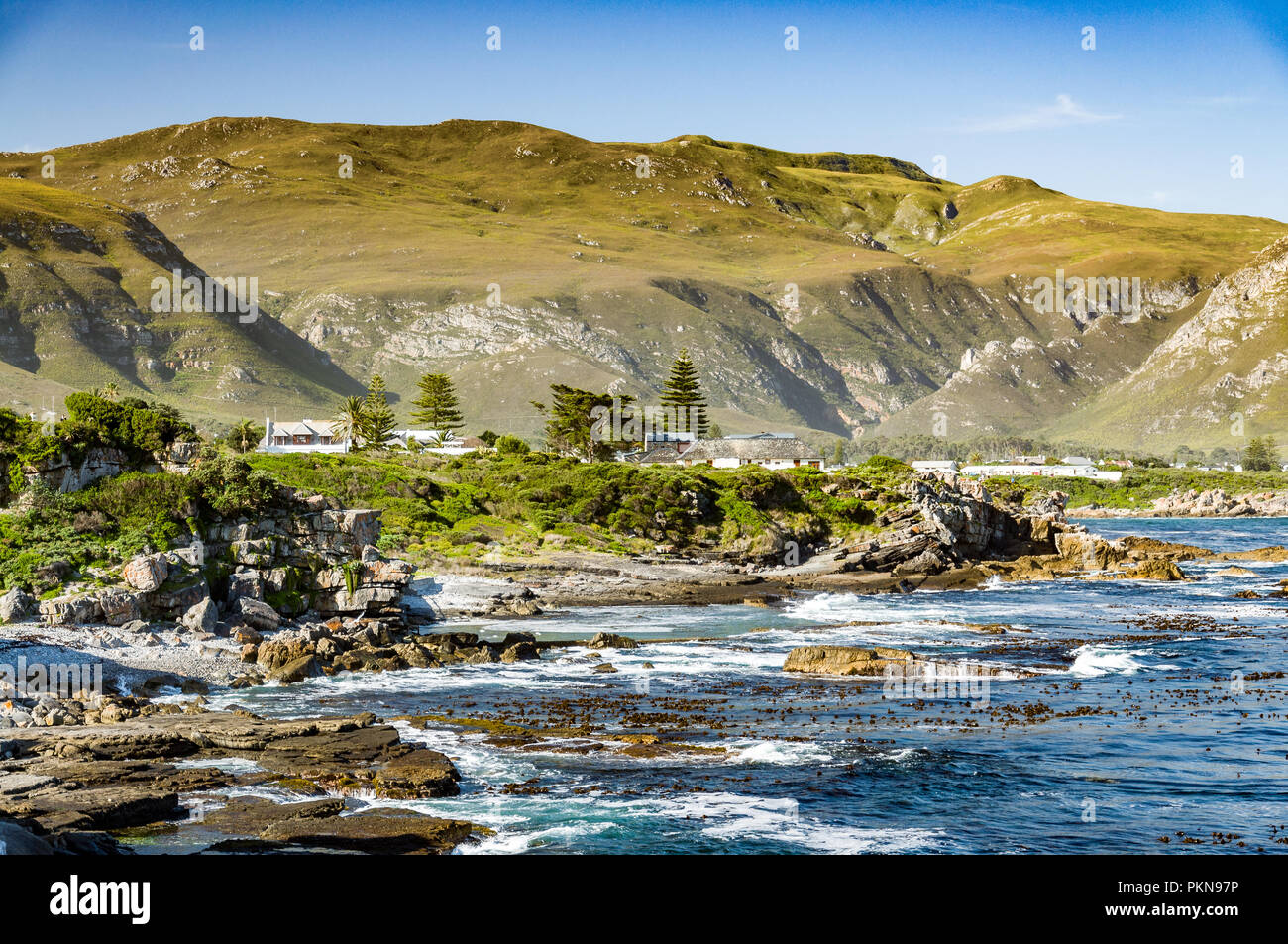 Rugged rocky coastline with trees and grassy mountains South Atlantic ...