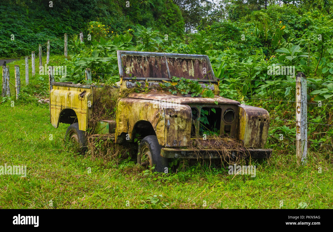 Abandoned old and rusted car decaying in the middle of the green rain ...