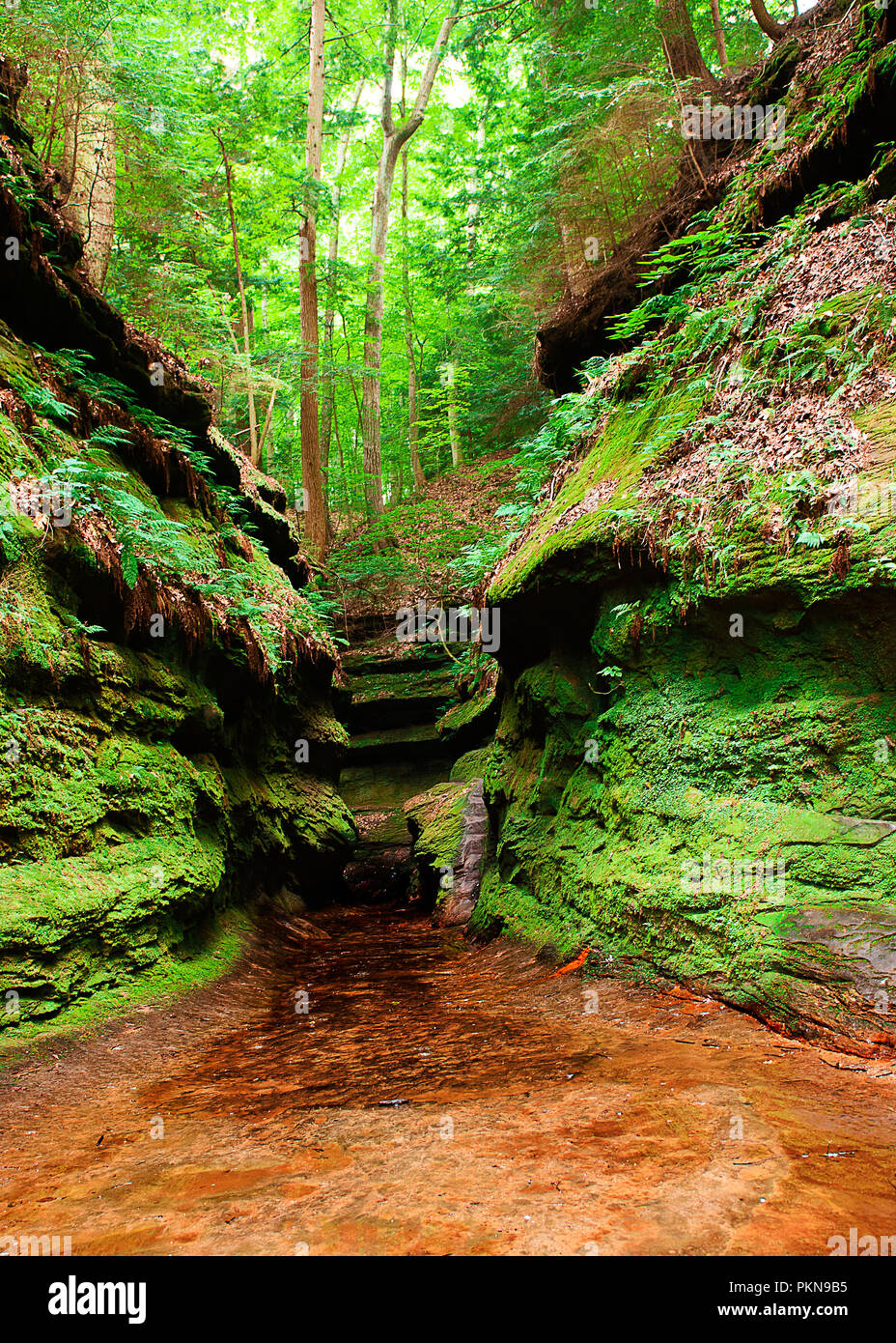 Indiana nature hi-res stock photography and images - Alamy