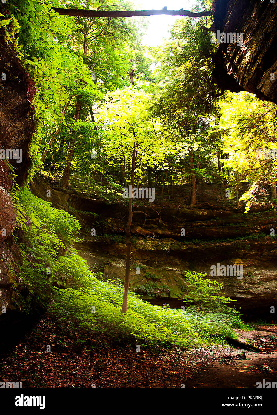 state park nature Stock Photo - Alamy