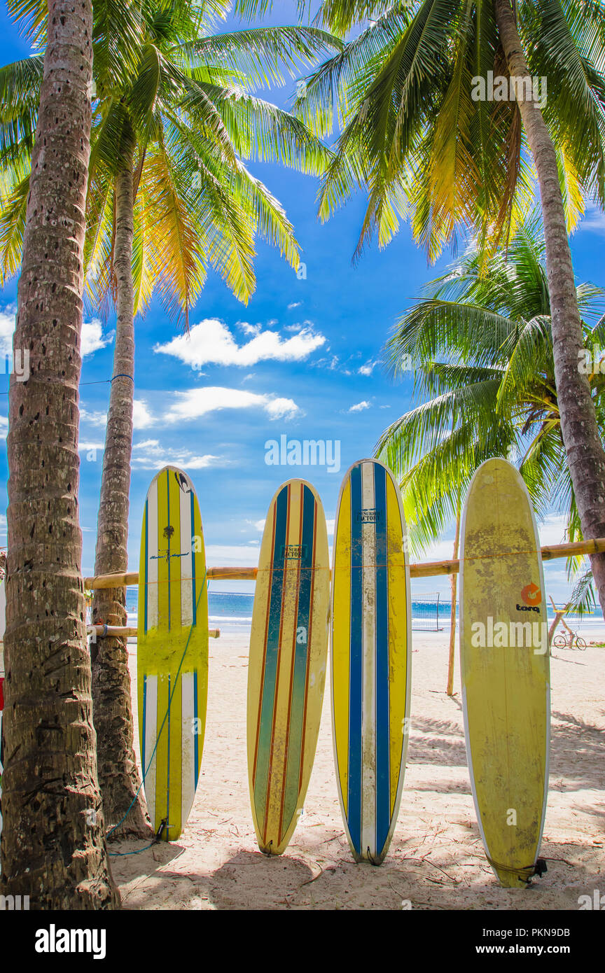 June Beach Background