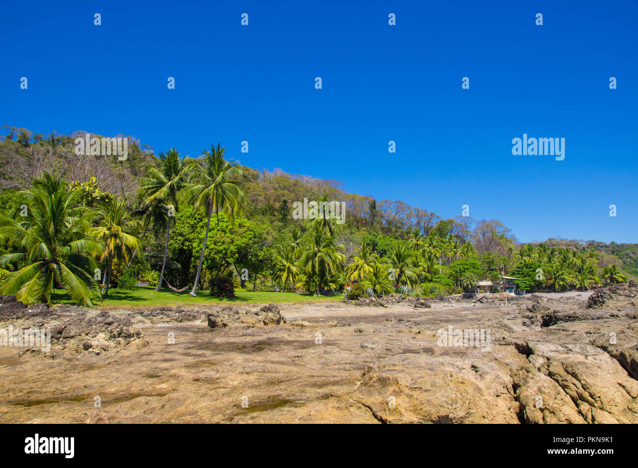 Beautiful landscape of rocky beach and trees in Playa Montezuma in ...