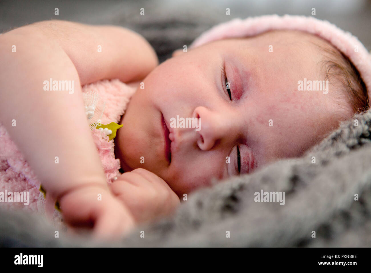 Sleeping newborn girl on a pink background.Photoshoot for the newborn ...