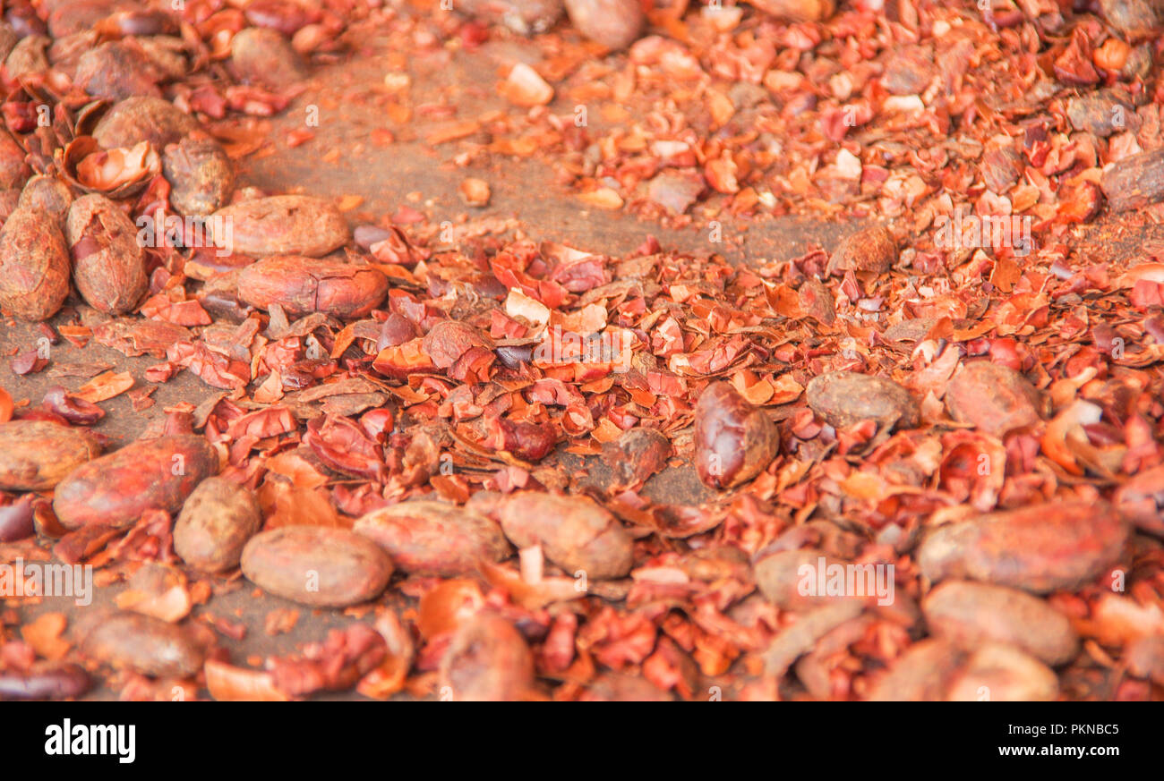 Drying process hi-res stock photography and images - Alamy