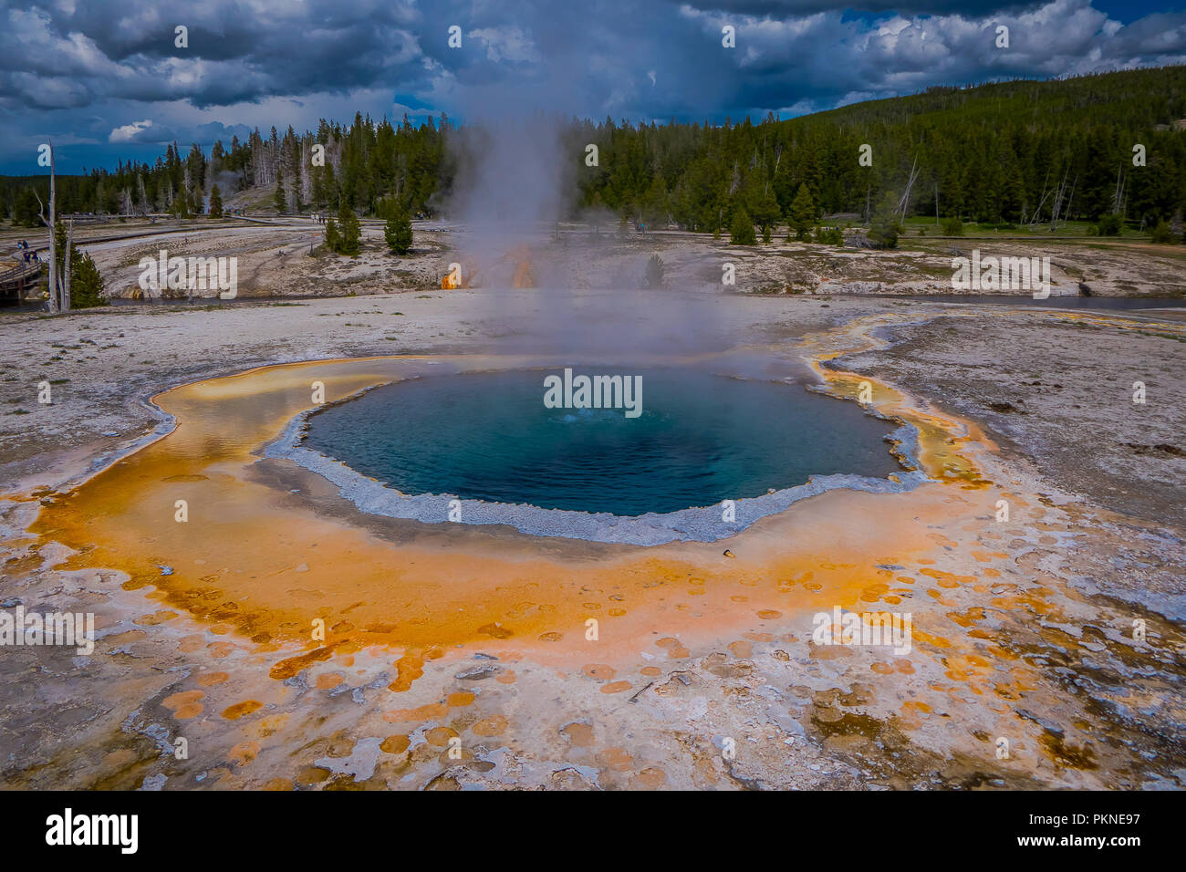 Crested pool hot spring and orange microbial mat in the old faithful ...