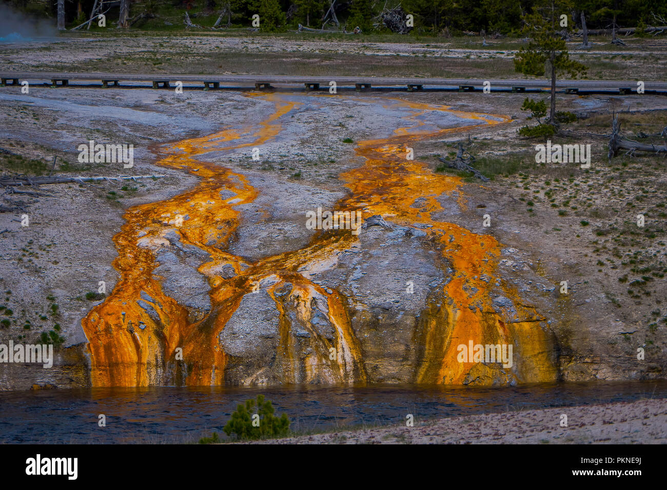 Grand Prismatic Spring, Midway Geyser Basin, Yellowstone National Park ...
