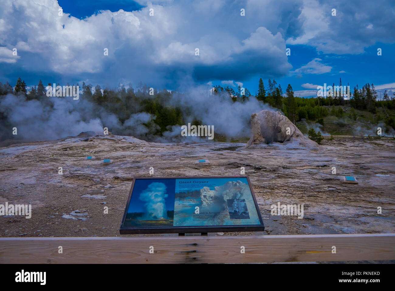YELLOWSTONE, MONTANA, USA MAY 24, 2018: Informative sign of Giant ...