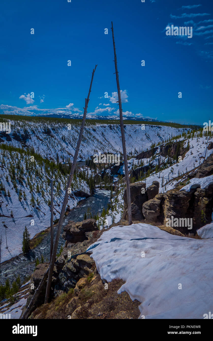 Lower Falls, most popular waterfall in Yellowstone, are sits in head of ...