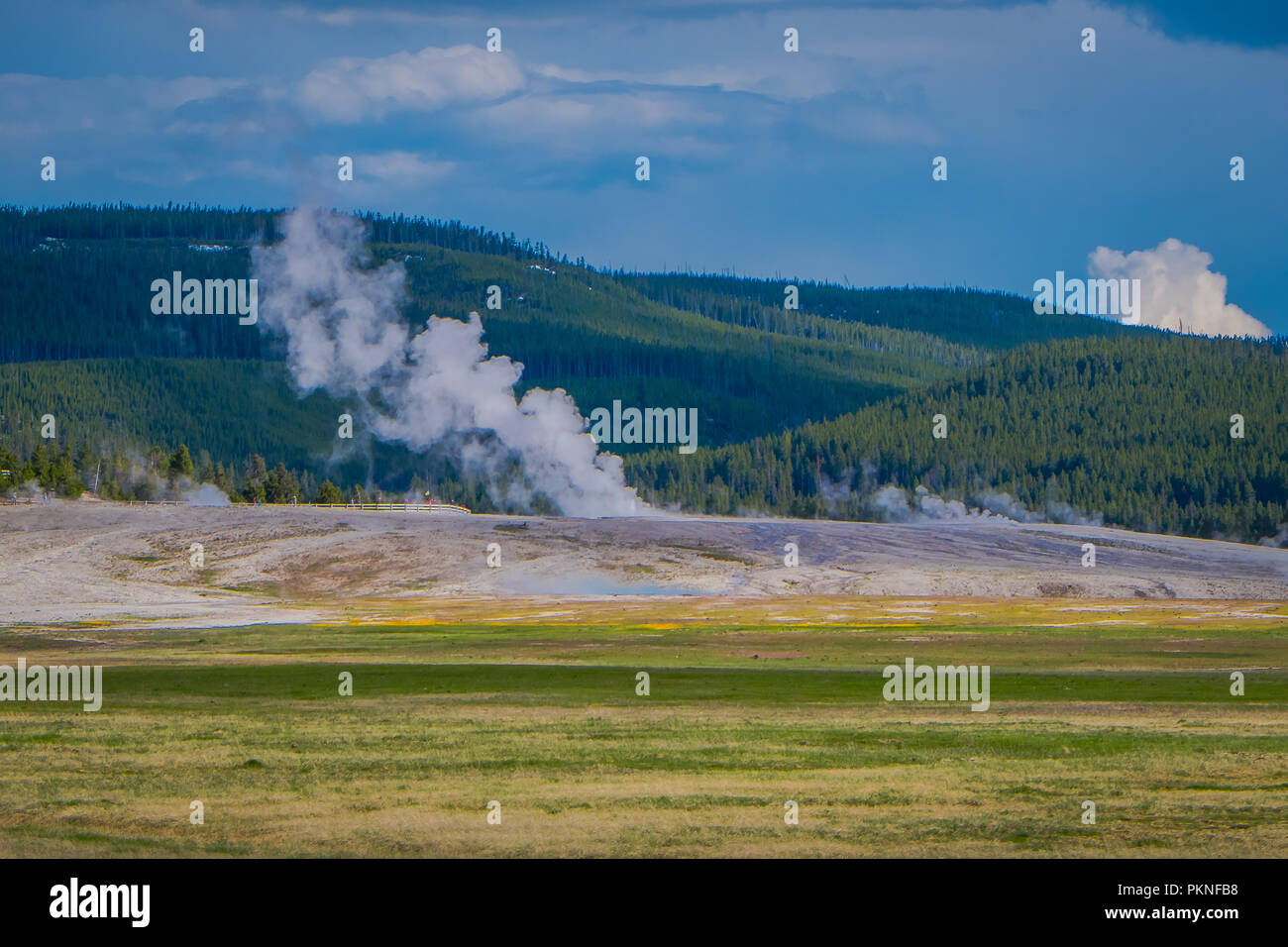 Amazing landscape of small geysers, hot springs, and vents. The ...