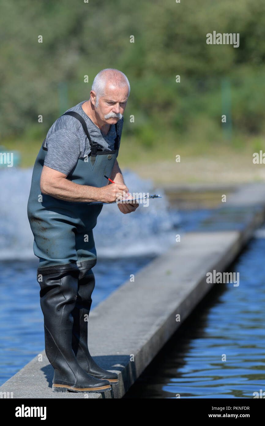 Veterinary food inspection hi-res stock photography and images - Alamy