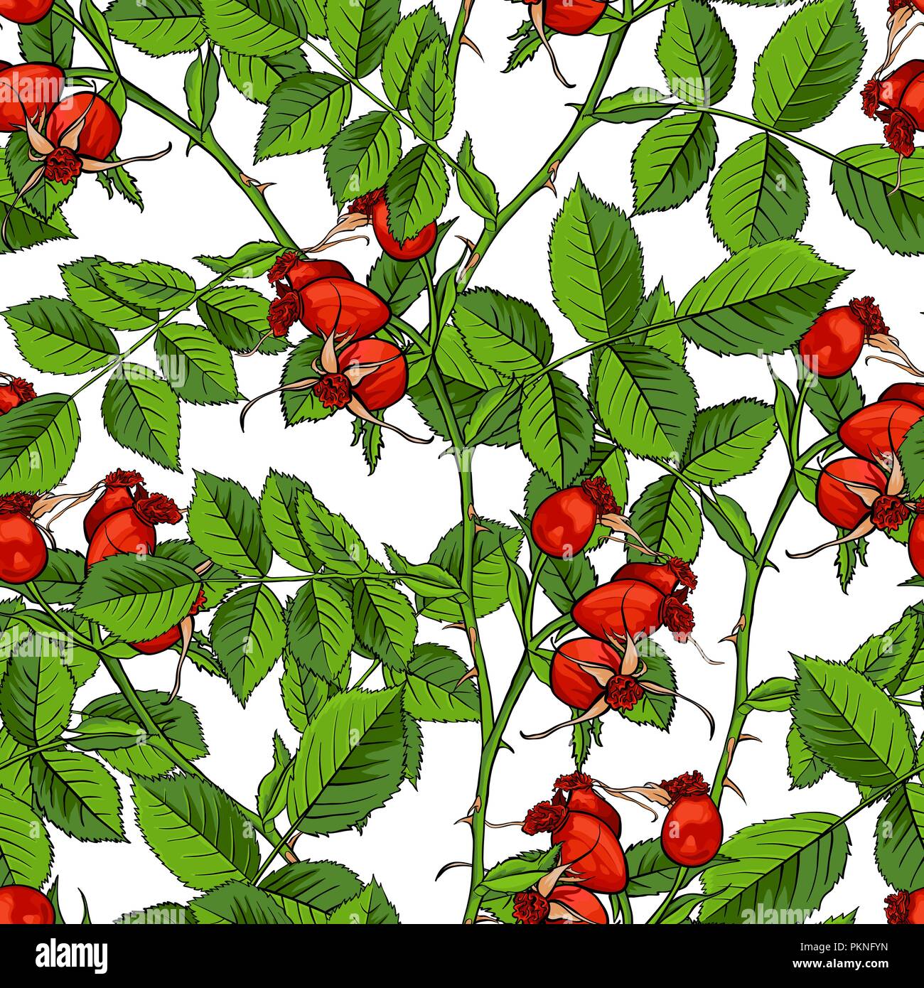 Dogrose Seamless Pattern, Luxury Wild Briar Rose. Rosehip Romance ...