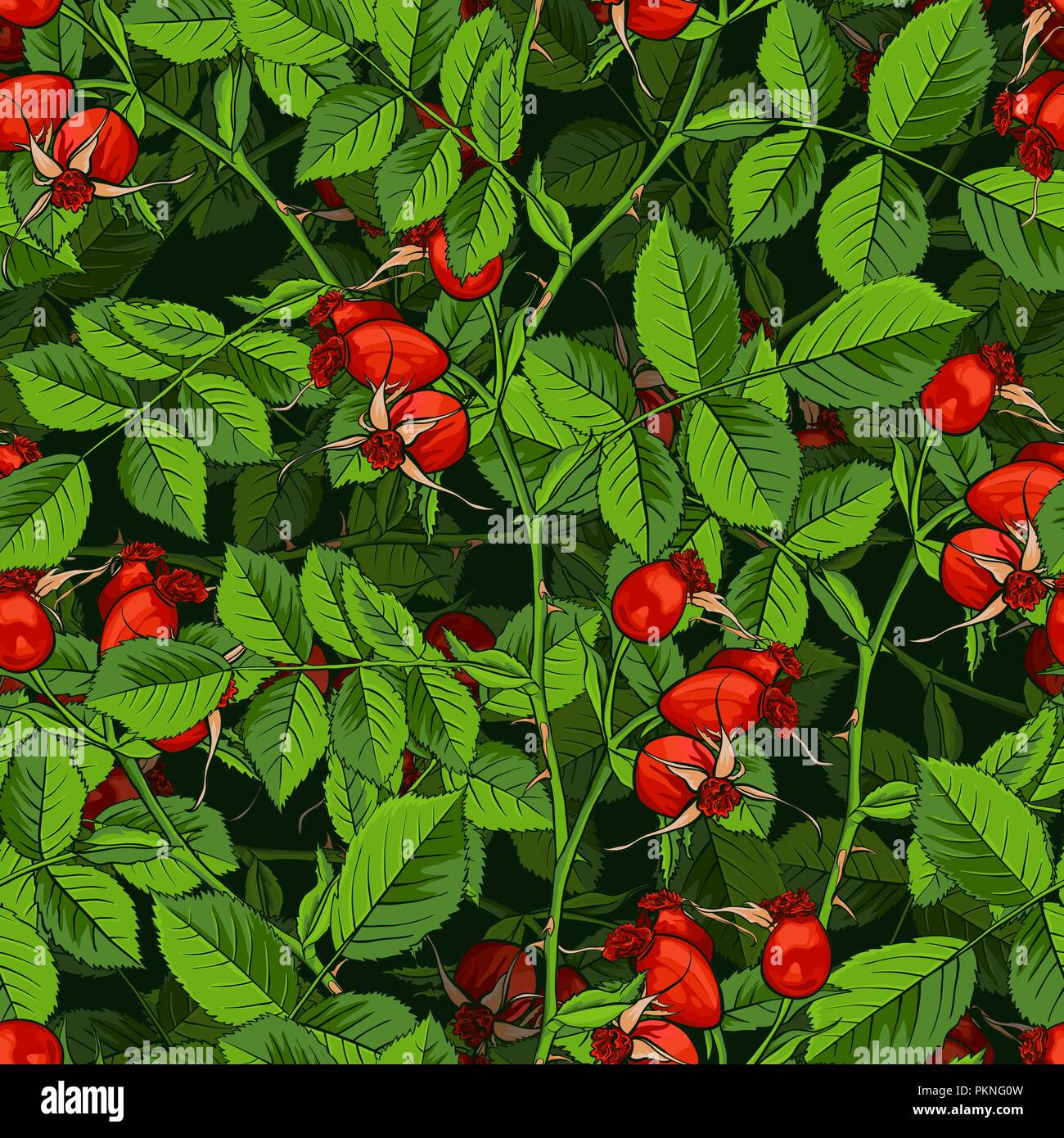 Briar rose Stock Vector Images - Alamy